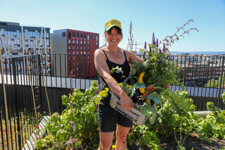 Takhagen forsinker hundretusenvis av liter regnvann fra å nå ...