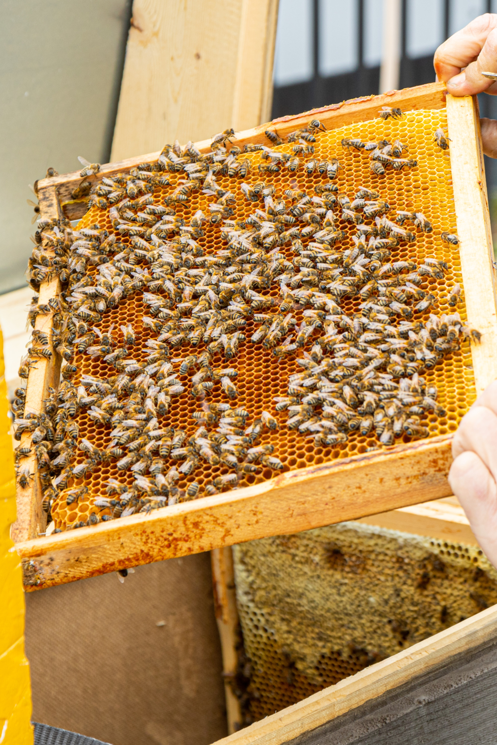 Takparken åpner mandag 24. april - Økern Portal