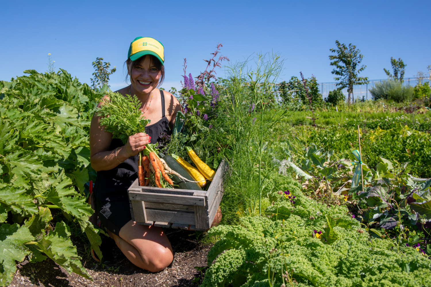 Takhagen forsinker hundretusenvis av liter regnvann fra å nå ...